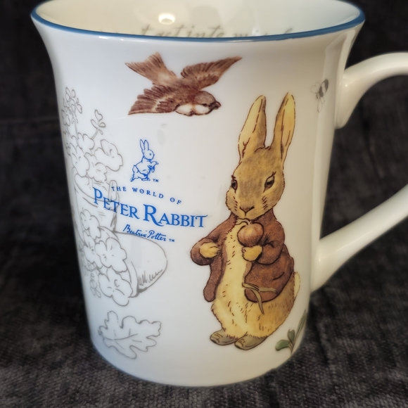 Dining | Beatrix Potter Peter Rabbit Matching Teapot And Cup Set | Poshmark